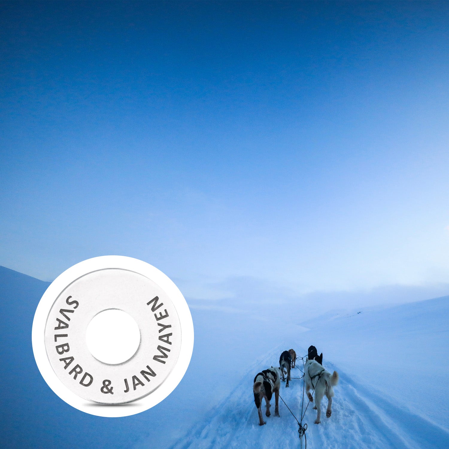 SVALBARD & JAN MAYEN Ring – Traveller Collective
