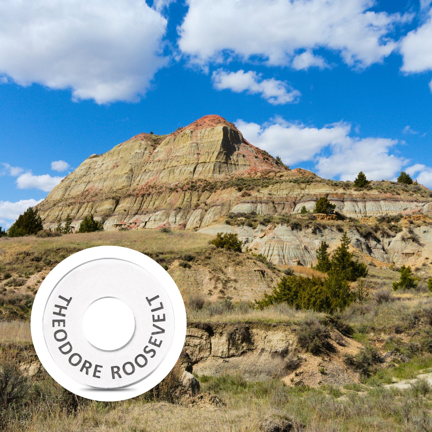 THEODORE ROOSEVELT Ring – Traveller Collective