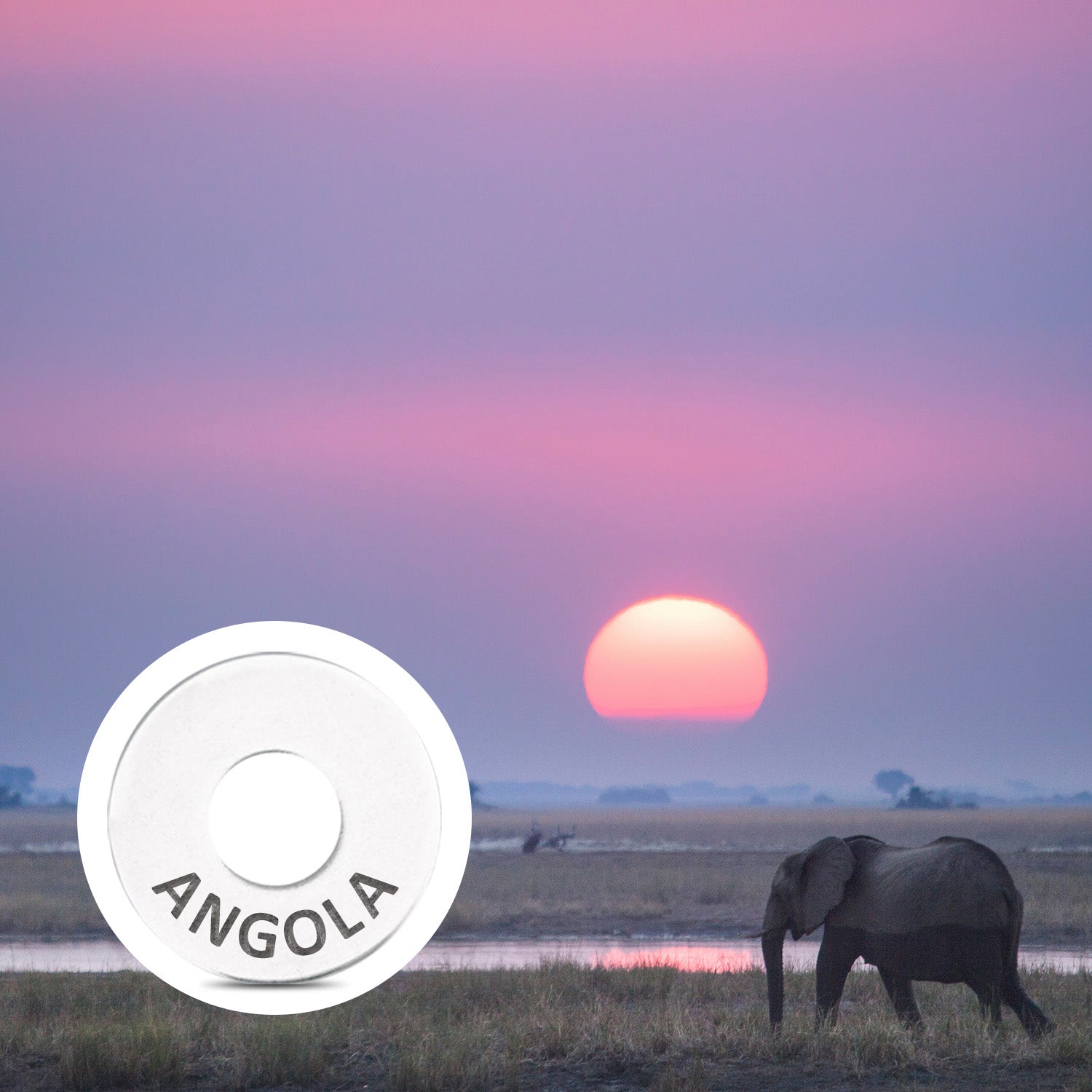 ANGOLA Ring – Traveller Collective