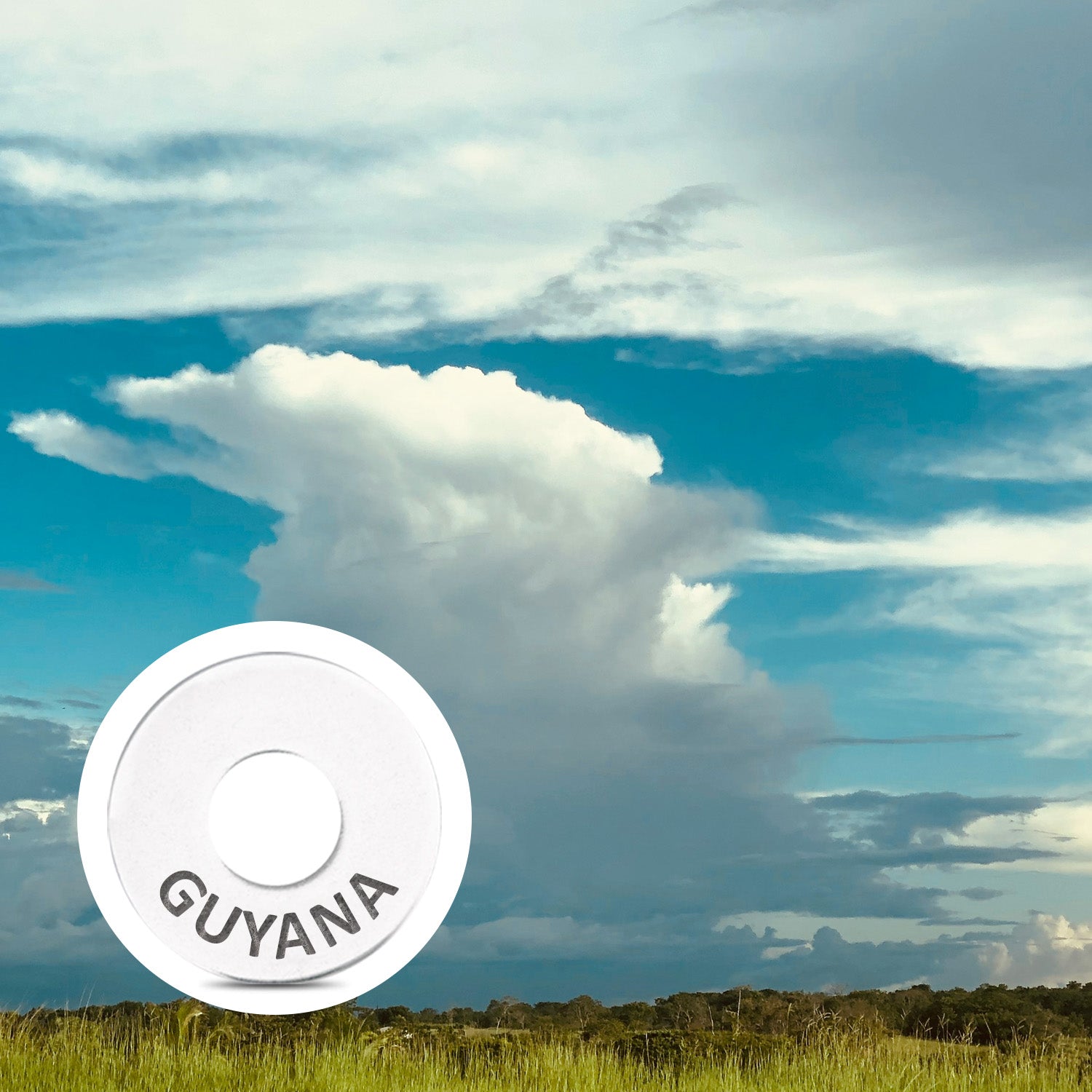 GUYANA Ring – Traveller Collective