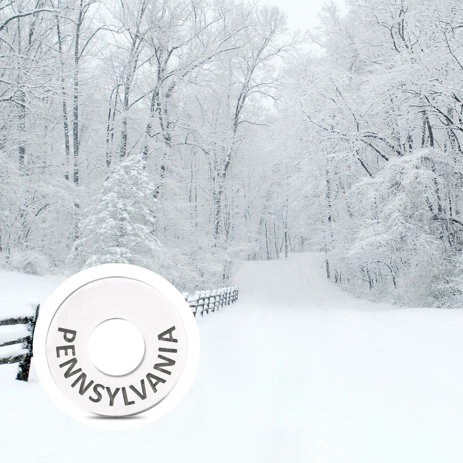 PENNSYLVANIA Ring – Traveller Collective