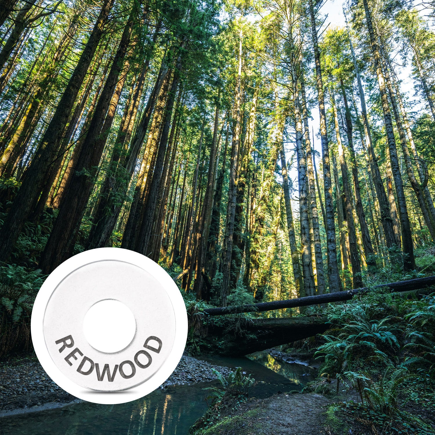 REDWOOD Ring – Traveller Collective