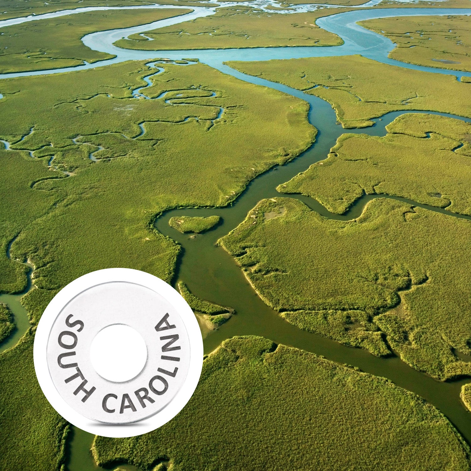SOUTH CAROLINA Ring – Traveller Collective