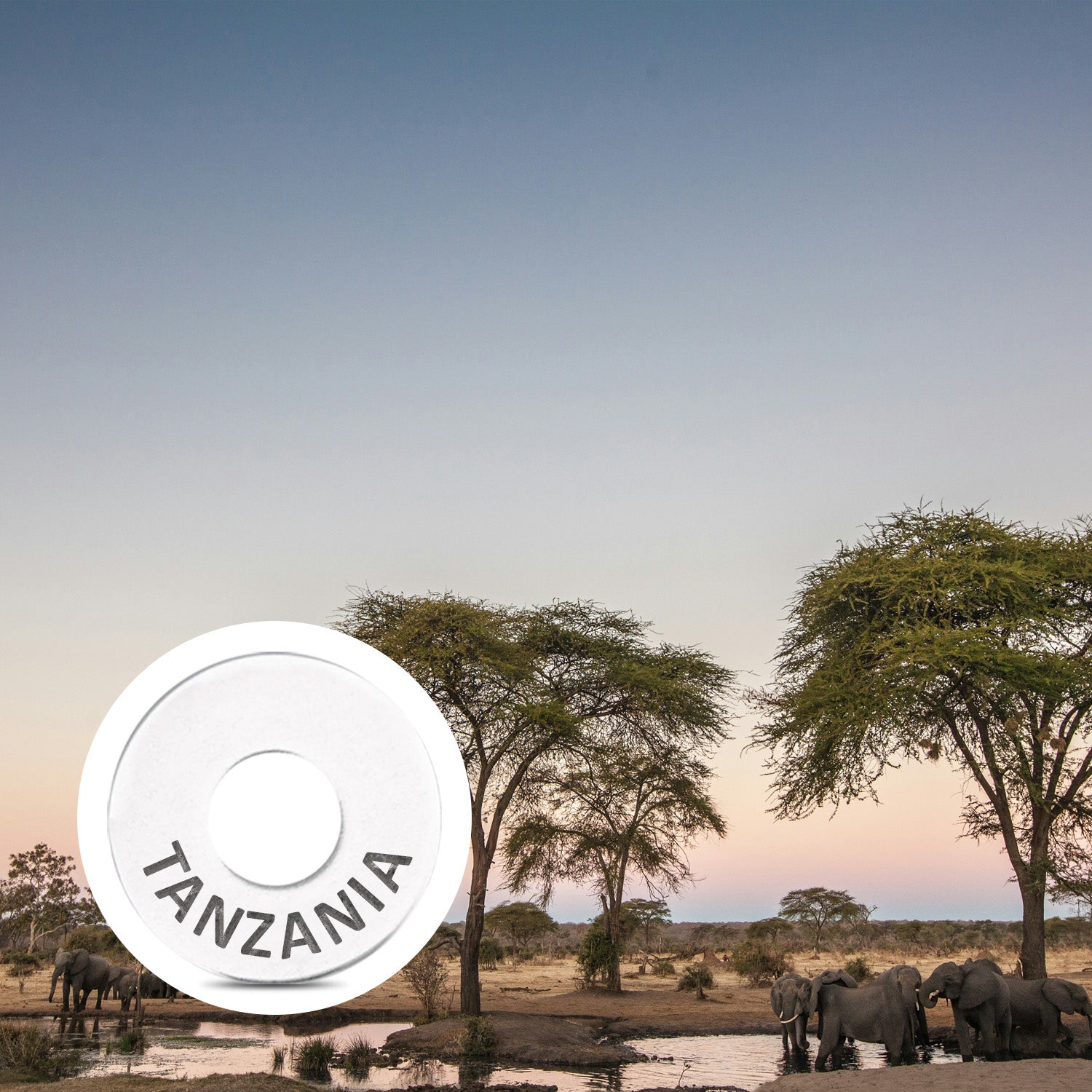TANZANIA Ring – Traveller Collective
