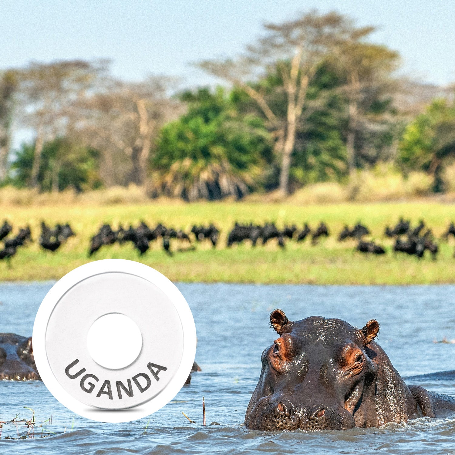 UGANDA Ring – Traveller Collective