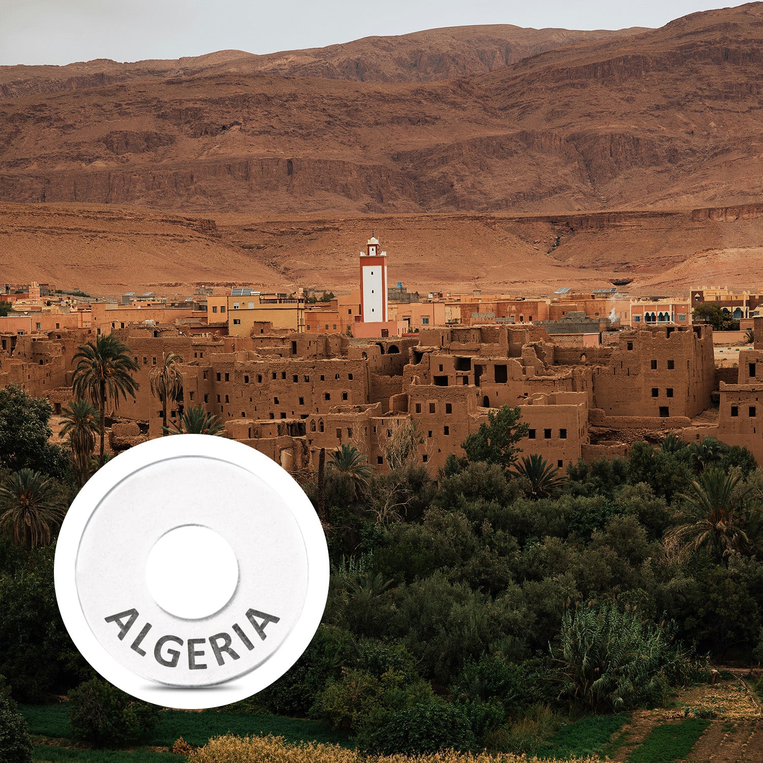 ALGERIA Ring – Traveller Collective